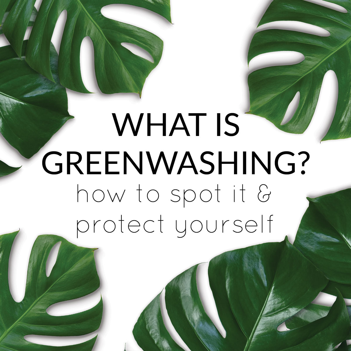 What is Greenwashing and How to Protect Yourself | naked truth beauty