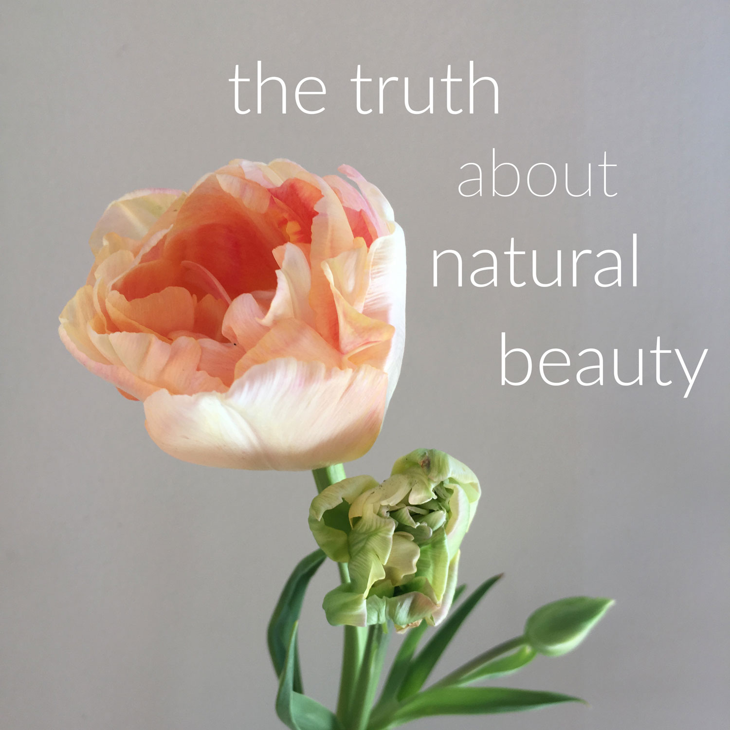The Truth about Natural Beauty | naked truth beauty